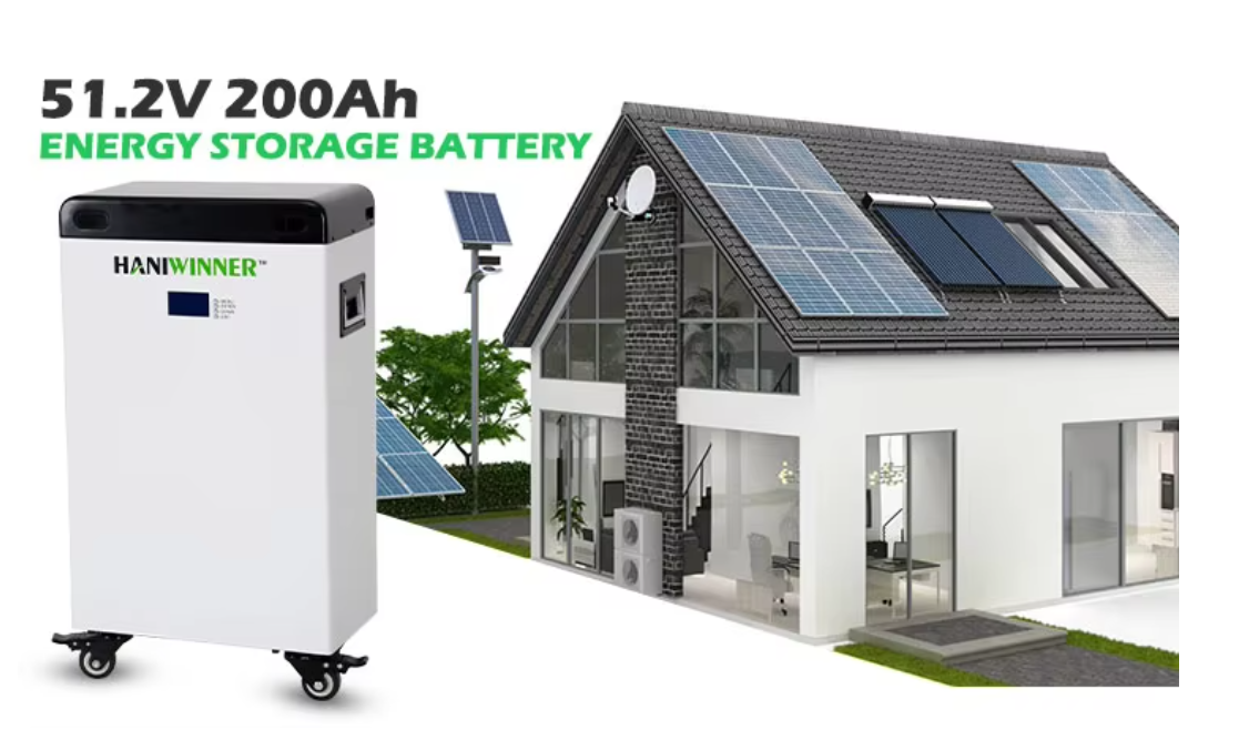 Custom Deep Cycle 20Kwh 10Kwh 51.2V 200Ah Lifepo4 Mobile Home Solar En ...