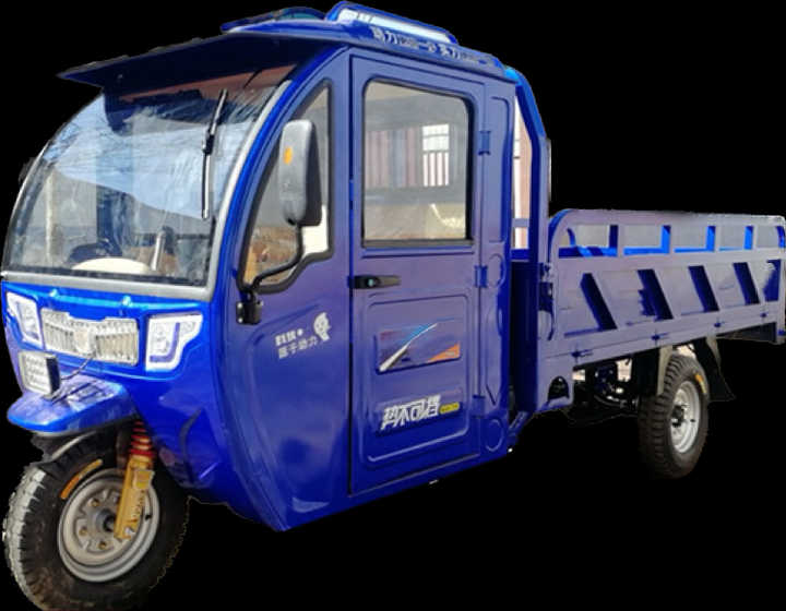 L2e Certification New Producing Electric Tricycle for 2 Adults Max Whi ...