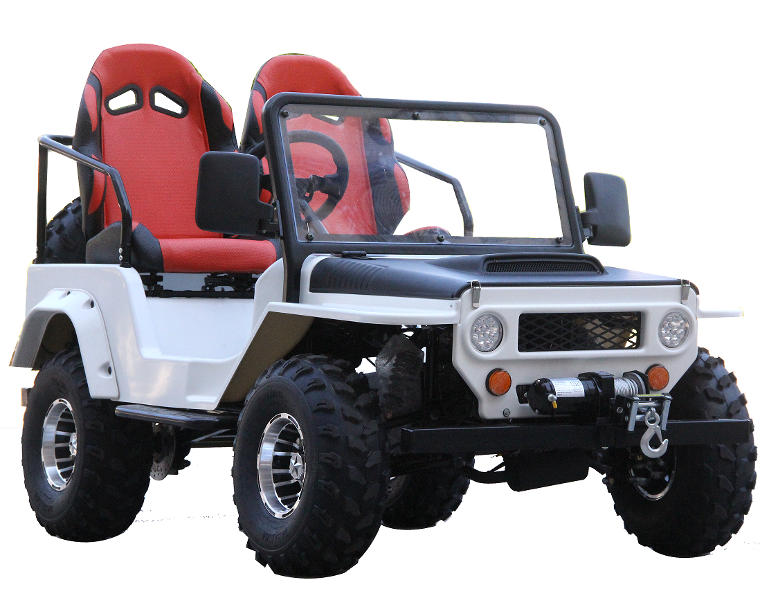 1200W Electric Quad ATV - Unleash Your Off-Road Adventure with this Po ...