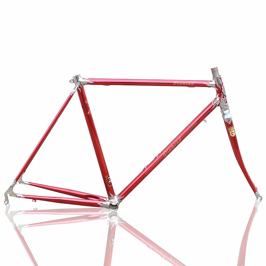 700C Reynolds Pipe FRAME Vintage Bicycle frame road bicycle columbus p ...