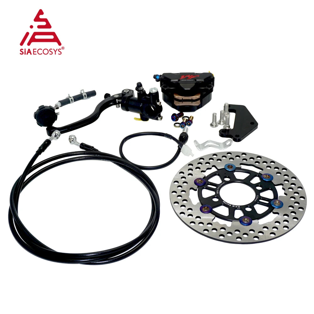Disc Brake system for QS 3kW mid drive motor assembly kits - E Smart Way