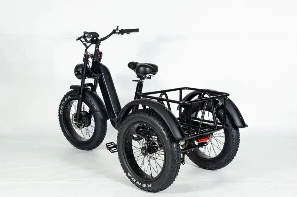 20 Inch *4.0 Electric Power Tricycle /Fat Wheel Disc Brake Tricycle/48 ...