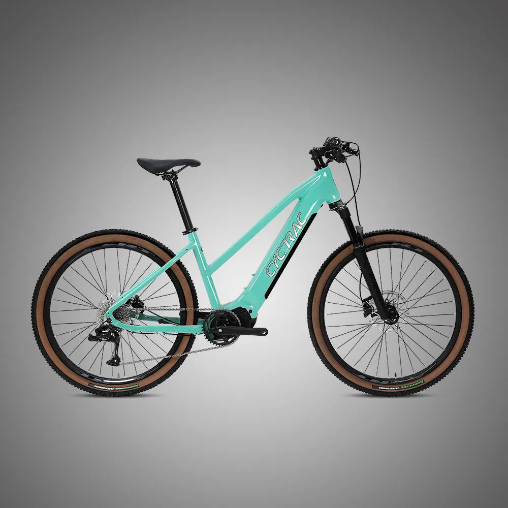 TWITTER New E bike EC1 RS-10S Internal Wiring Mid Drive M410+36V 250W ...