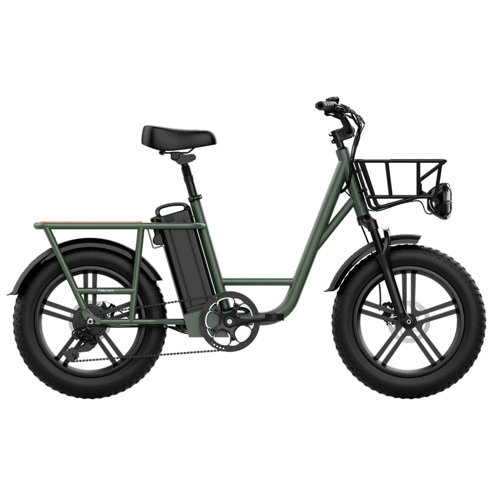 Fiido T1 Utility Electric Bike - The Multi-Purpose E-Bike with Impress ...
